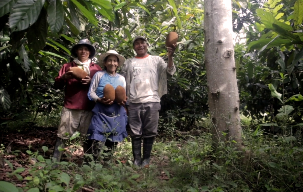 Caritas y Laudato Si' | Celebración del quinto aniversario de Laudato si’ Caritas y Laudato Si' | Celebración del quinto aniversario de Laudato si’